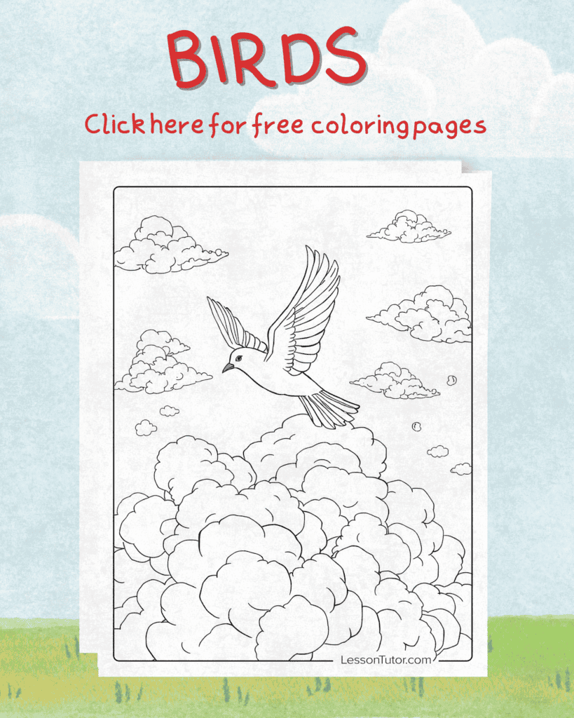 Birds - Free Coloring Pages, PDF Printables and Worksheets - Lesson Tutor