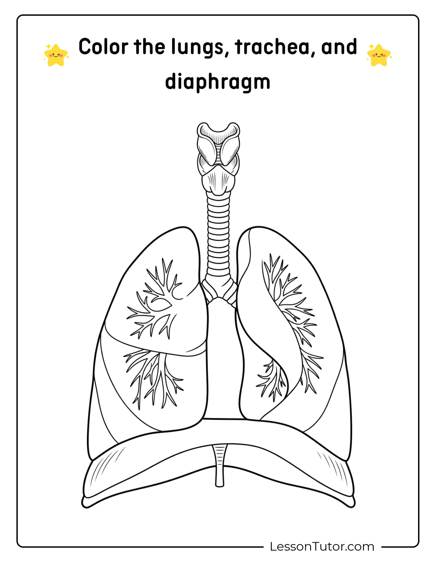 Respiratory System Coloring Pages 2025 Respiratory System Coloring Pages 2025